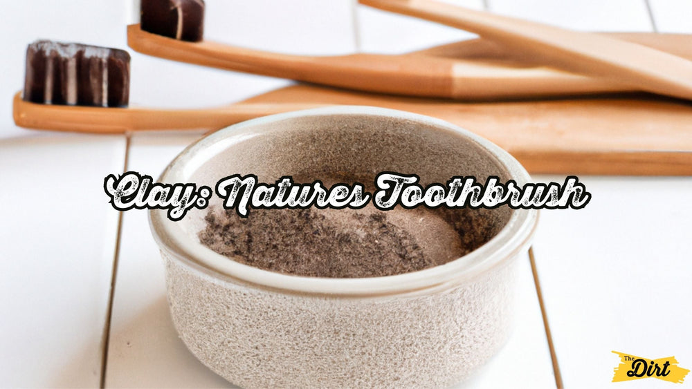 Nature's Toothbrush: The Surprising History of Mineral-Rich Clay – The ...